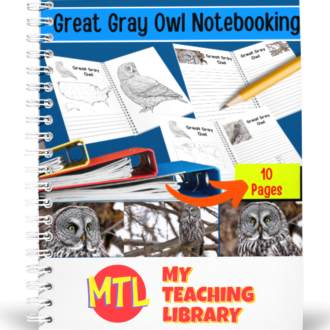 Let’s Study the Great Gray Owl! – Library of Learning Resources