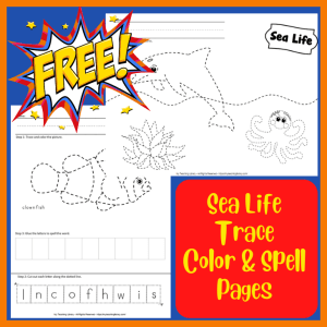 Freebie from Sea Life – Ocean Early Learning | Preschool to ...